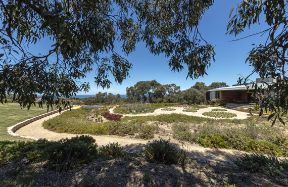 Design Direction - Native Plant Project