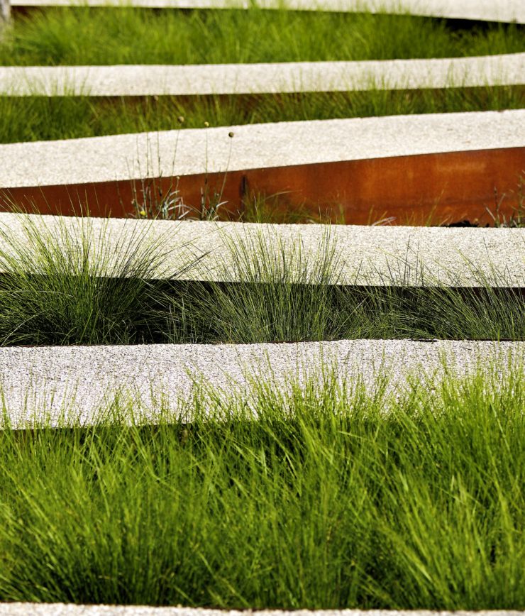 Growing Guides Archives - Native Plant Project