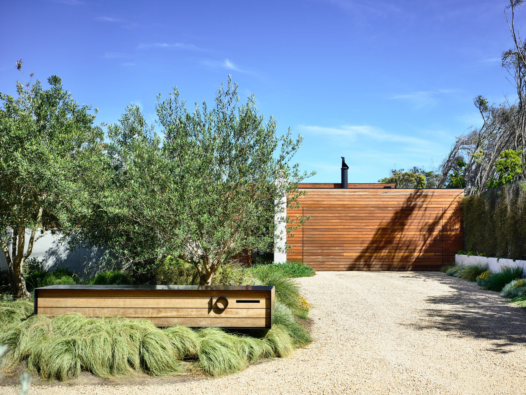 Contemporary Cool - Native Plant Project