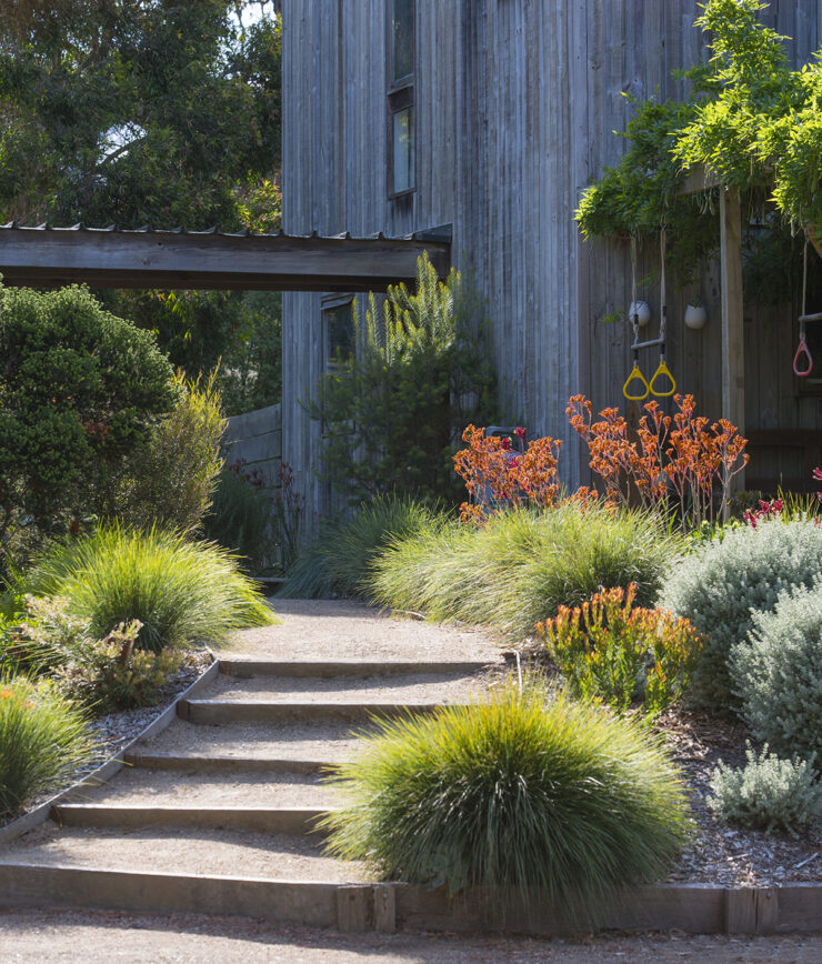 Native Plant Projects Archives - Native Plant Project