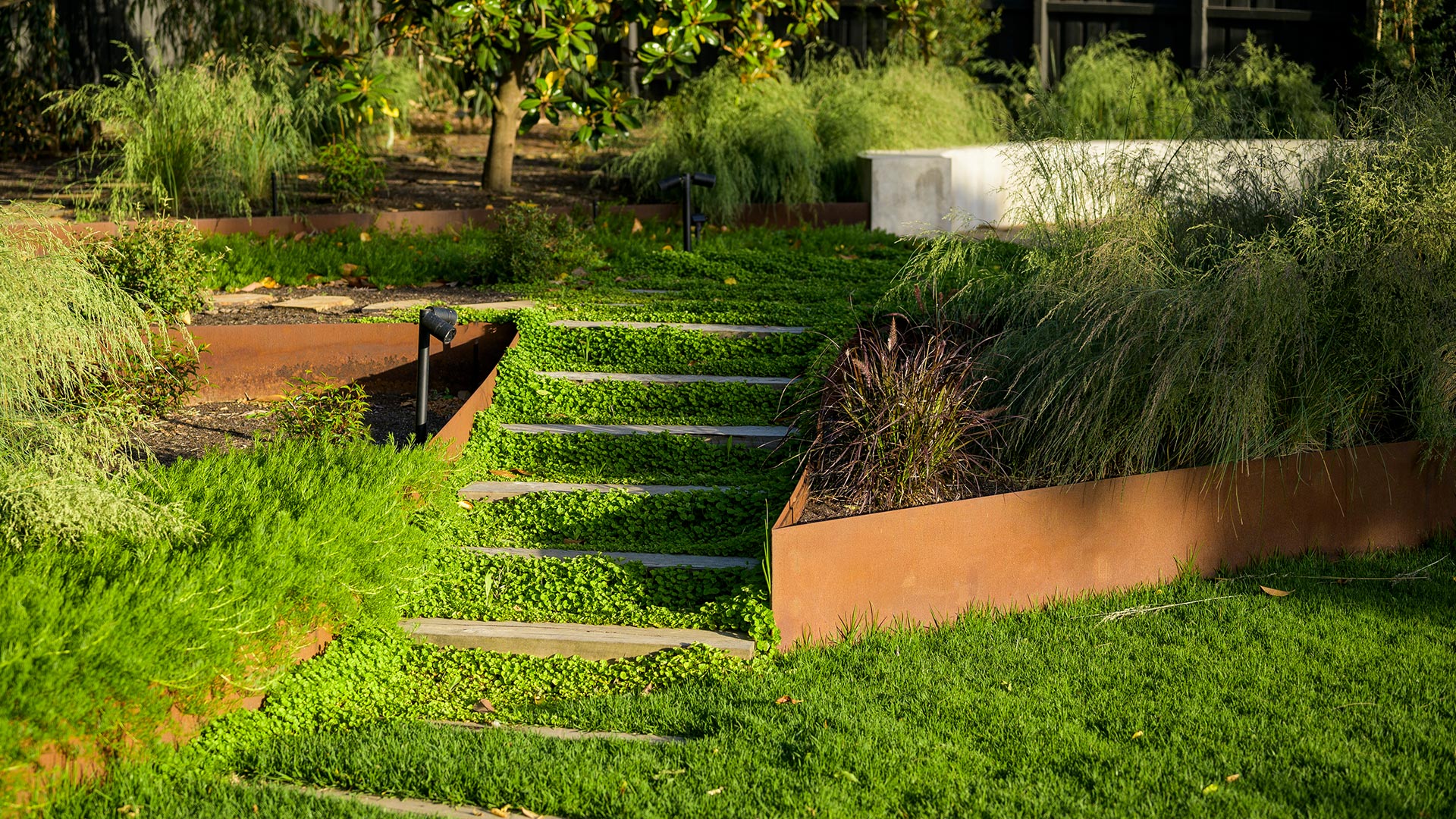 Thank You Subscriber - Native Plant Project