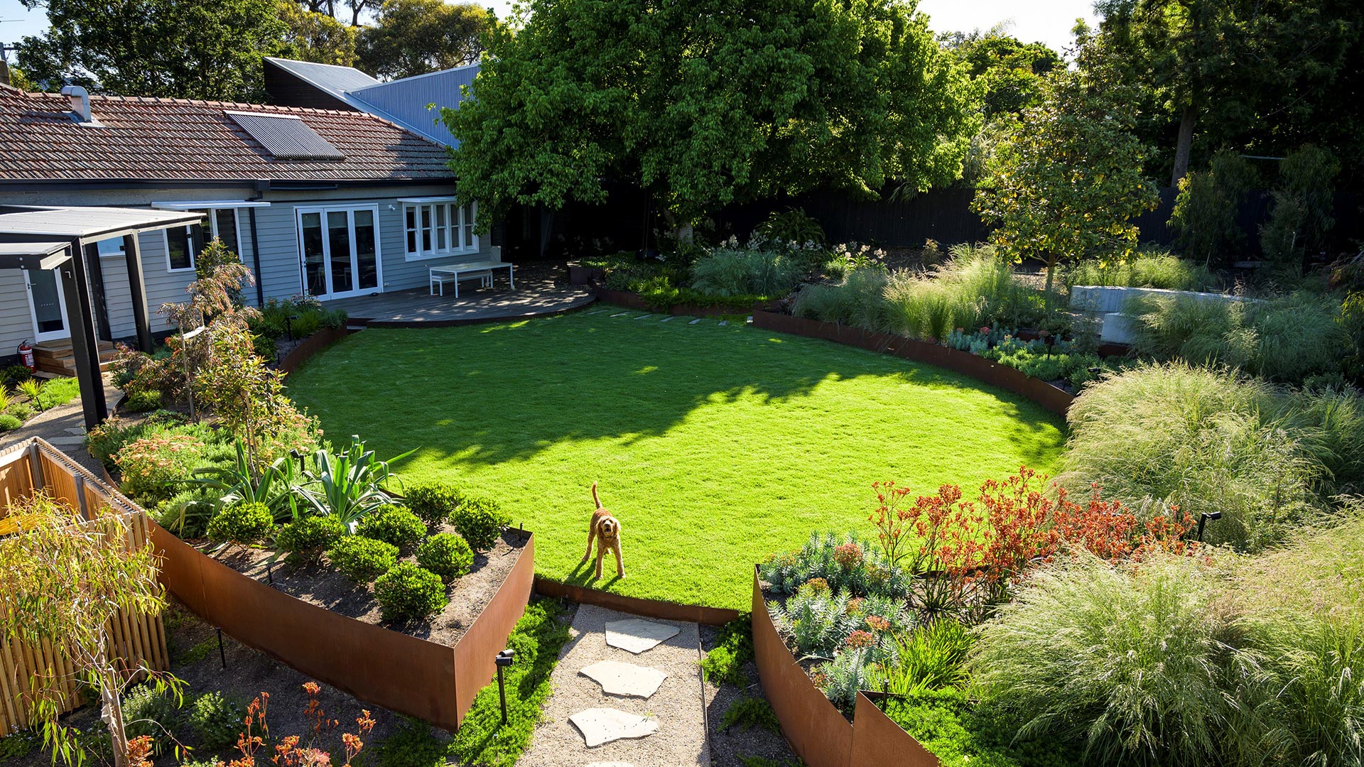 Backyard Bliss - Native Plant Project