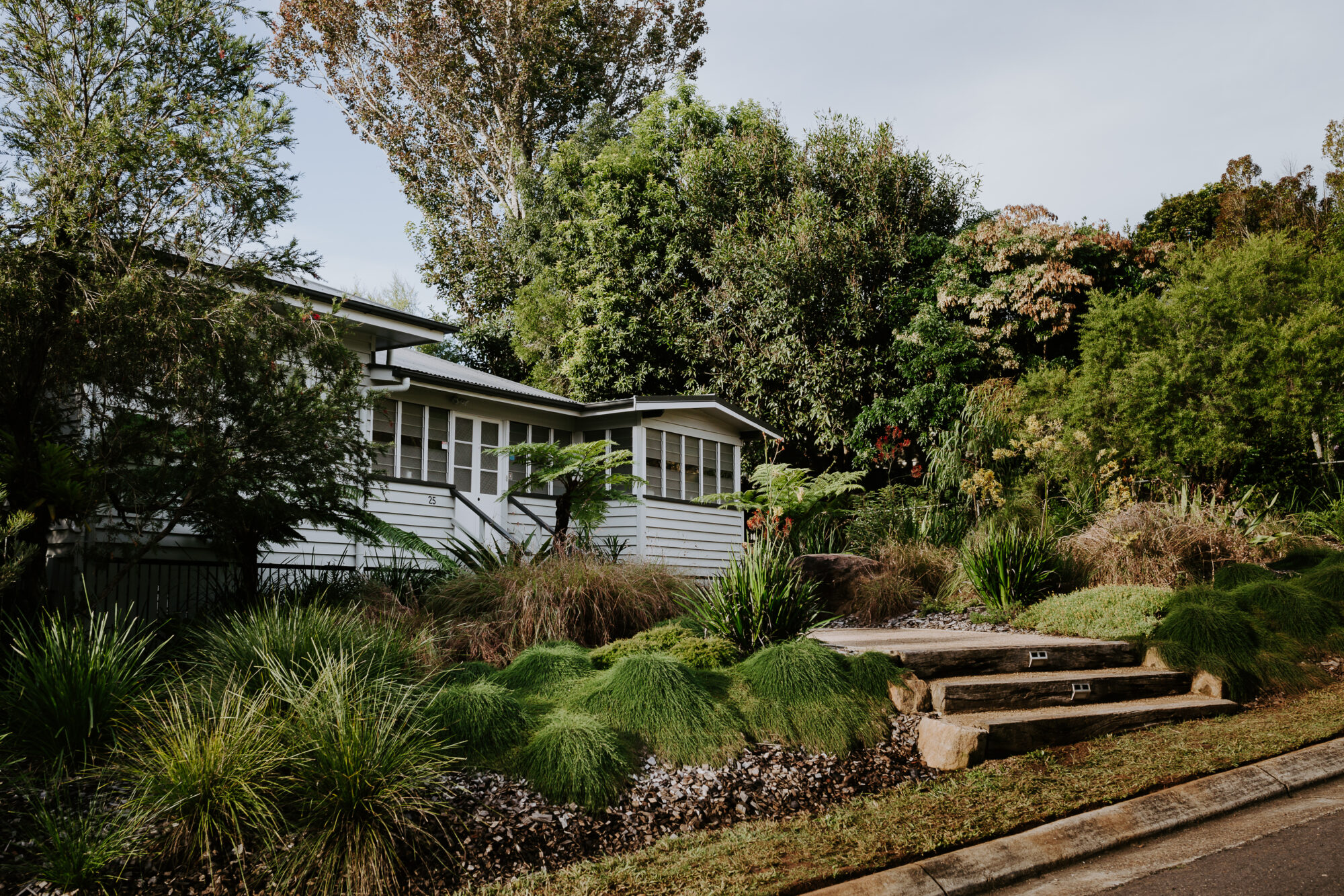 Natural curb appeal - Native Plant Project