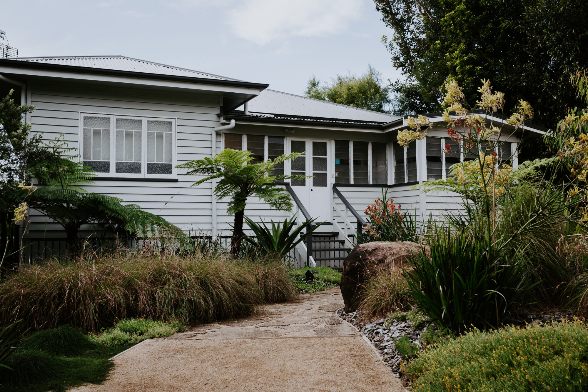 Natural curb appeal - Native Plant Project
