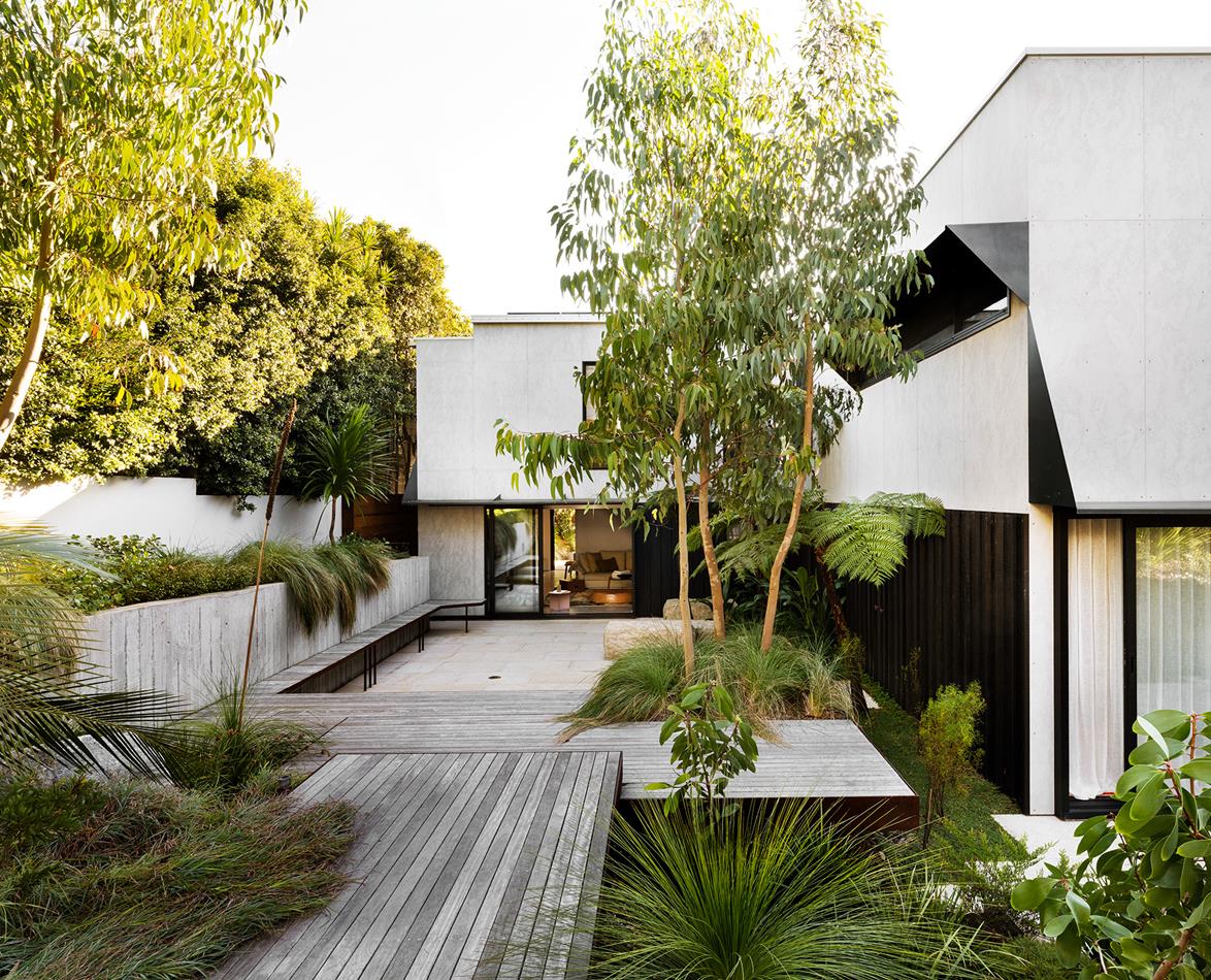 Coastal Transformation - Native Plant Project