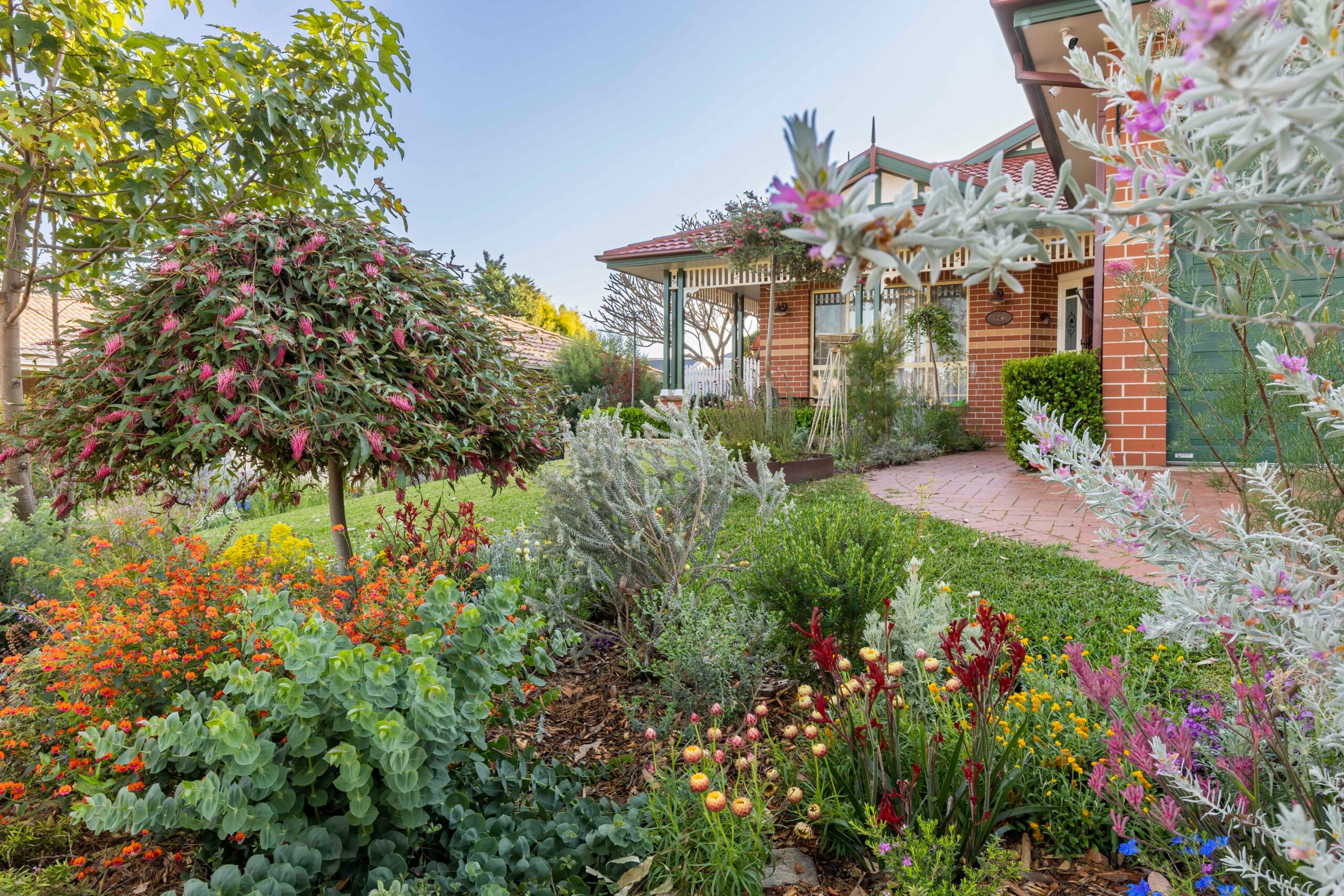 Gardens in the limelight - Native Plant Project